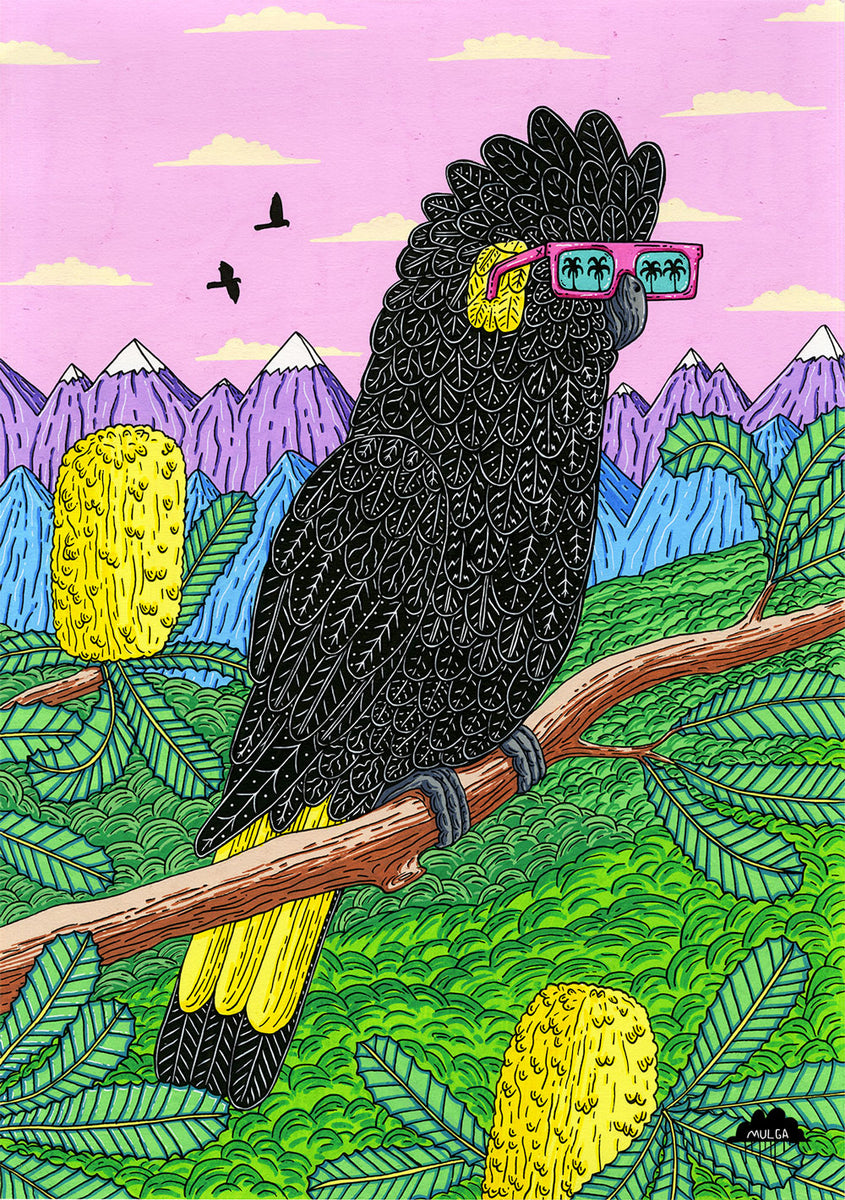 Bettina the Black Cockatoo - Premium Giclée Fine Art Print – Mulga The ...
